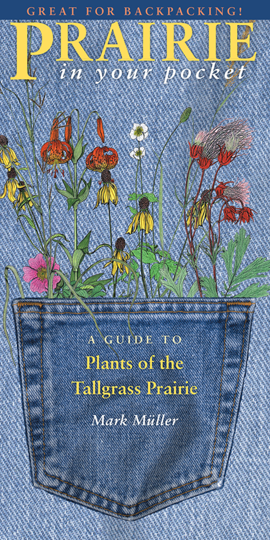 An Illustrated Guide to Iowa Prairie Plants | University of Iowa Press ...