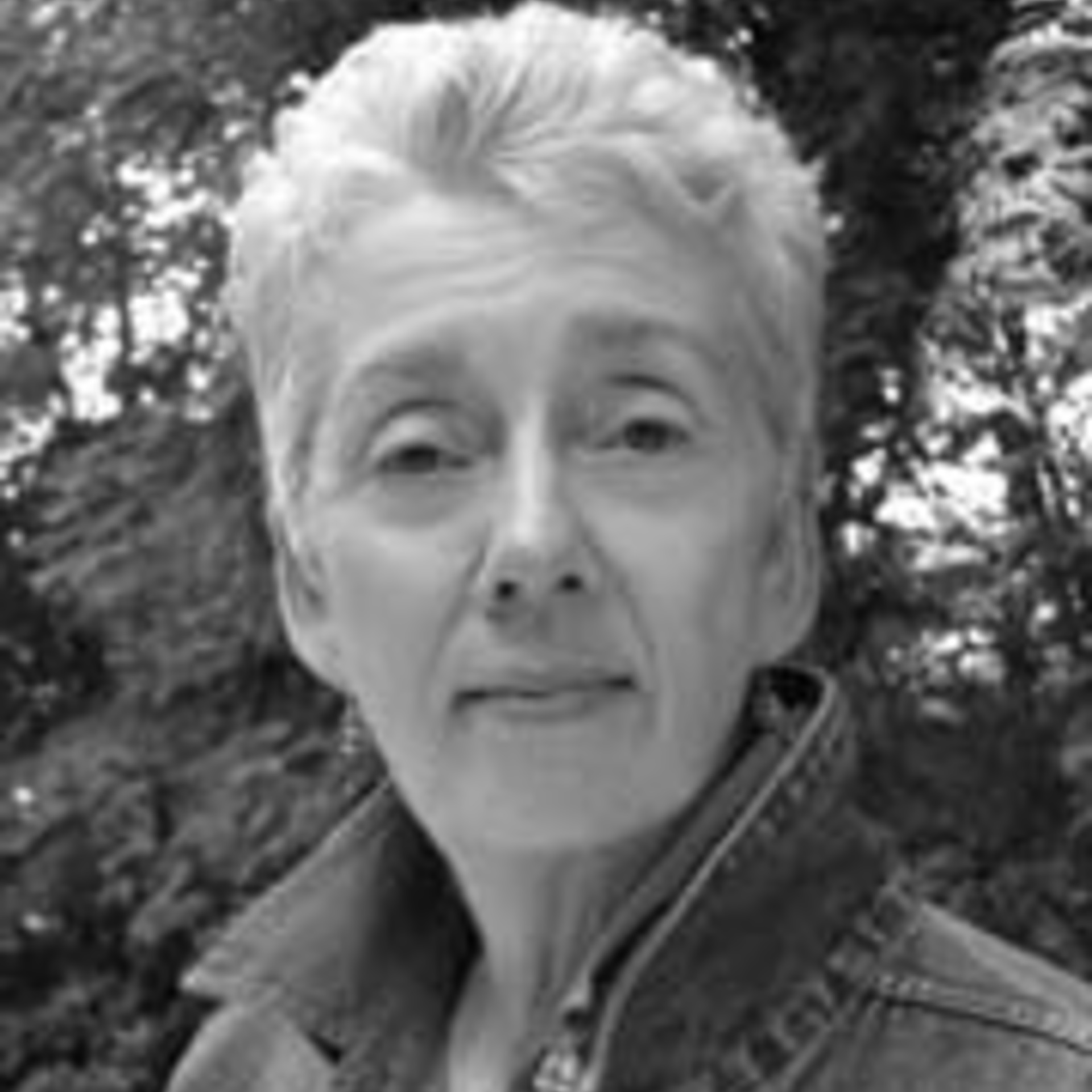 Elizabeth Ammons | University of Iowa Press - The University of Iowa